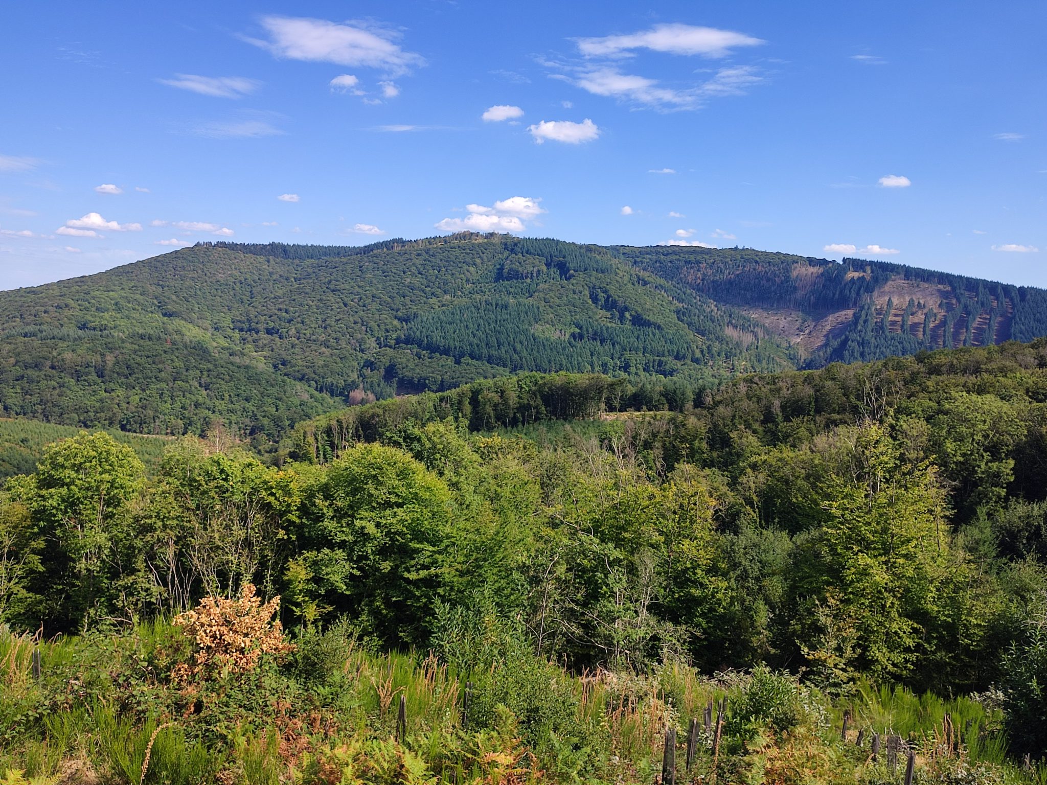 Scientists from FFWT MENDELU participate in conservation of the Morvan ...