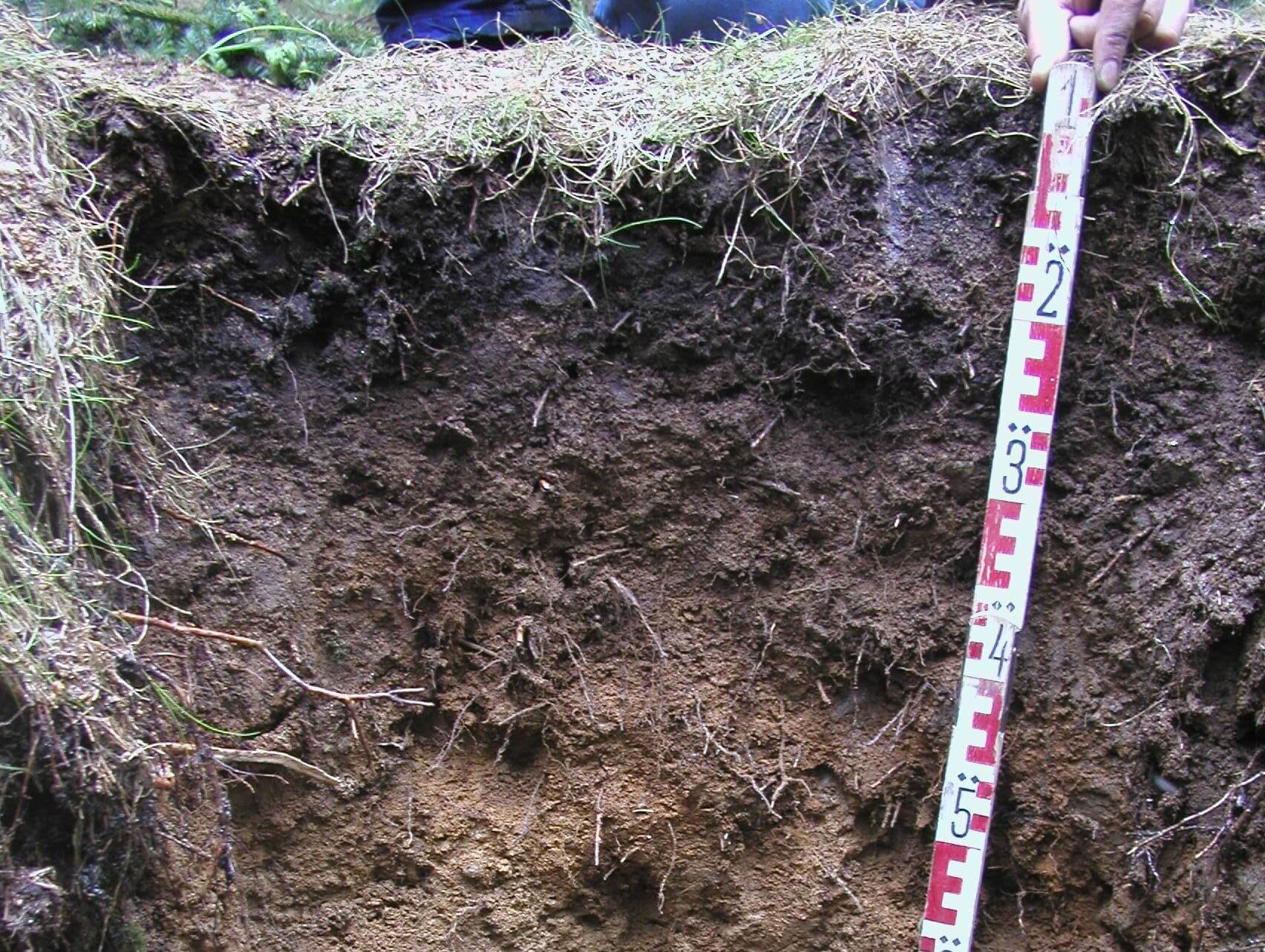 FFWT MENDELU has signed EU Mission Soil Manifesto - Lesnická a ...